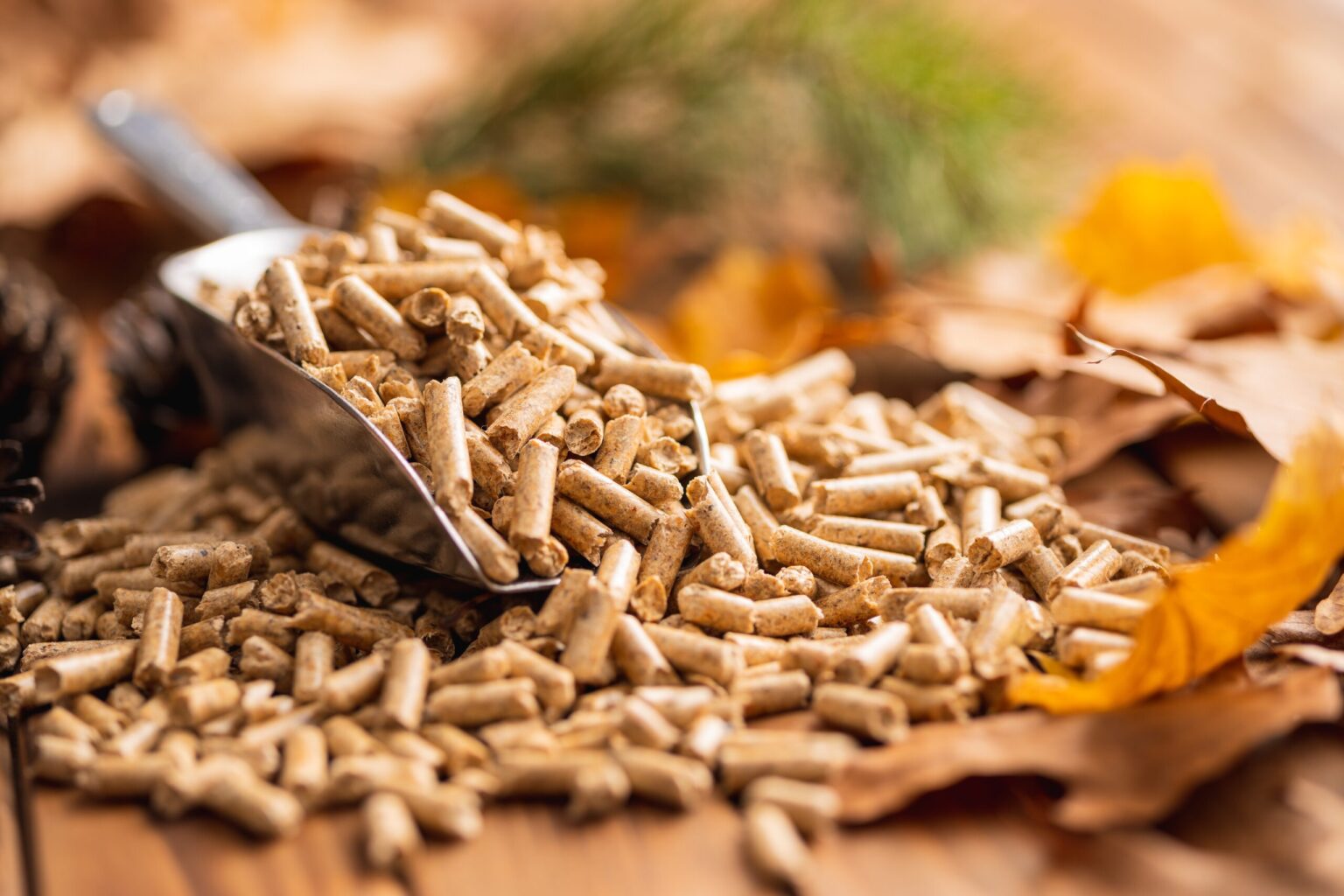 Home - bulkfuelpellets.com
